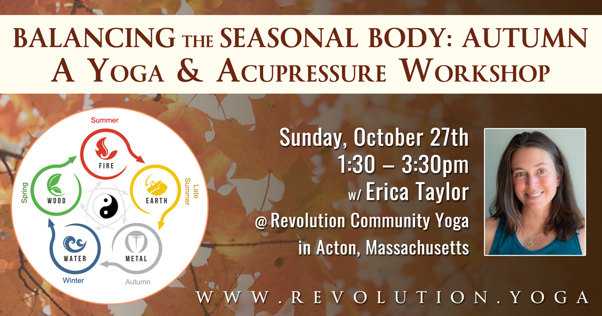 Workshops and Special Offerings – Erica Taylor Yoga